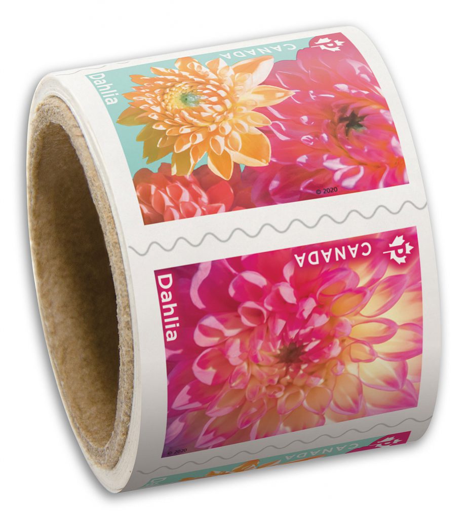 Dahlias to dazzle this year's flower stamps - Canadian Stamp News