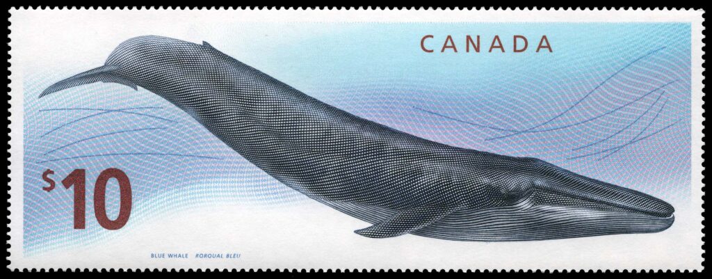 Kyrgyzstan issues what it claims to be world's 'longest stamp ...